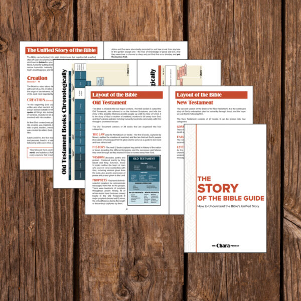 The Story of the Bible Guide (DIGITAL/PRINTABLE) - The Chara Project